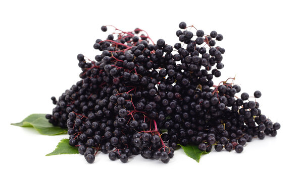 Holunderbeere Bilder – Durchsuchen 29,301 Archivfotos, Vektorgrafiken ...