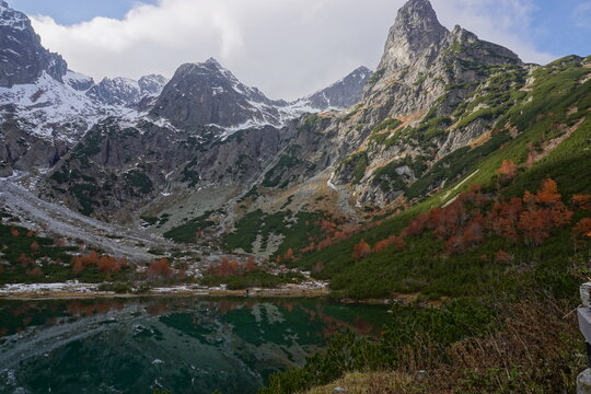 Plese Images – Browse 61 Stock Photos, Vectors, and Video | Adobe Stock