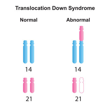 รูปภาพIcd-10 – เลือกดูภาพถ่ายสต็อก เวกเตอร์ และวิดีโอ65 | Adobe Stock