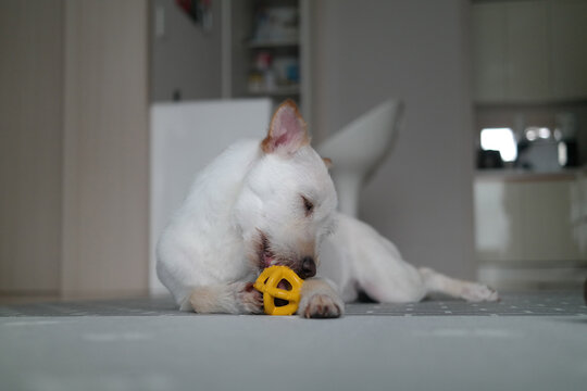 hyungmin photos, images, assets | Adobe Stock