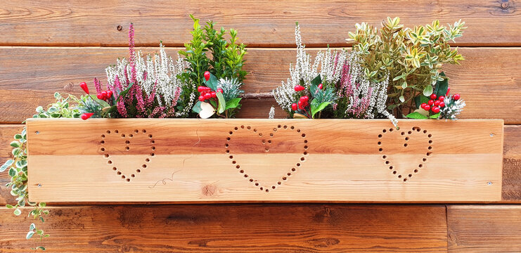 "Erica Images – Parcourir 11,460 le catalogue de photos, vecteurs et ...