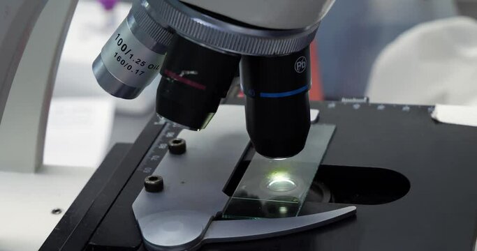 Mircoscope Images – Browse 24 Stock Photos, Vectors, and Video | Adobe ...