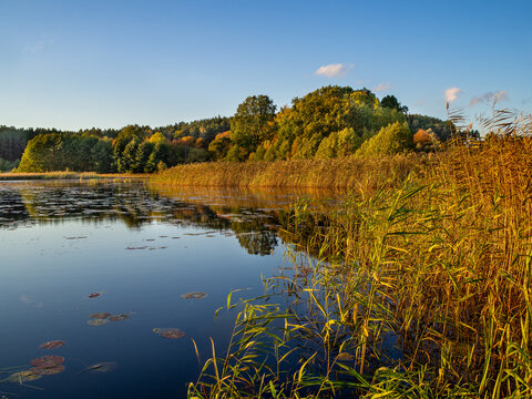 Jesien 이미지 – 찾아보기 2,600 스톡 사진, 벡터 및 비디오 | Adobe Stock