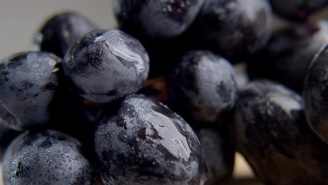 รูปภาพCarly – เลือกดูภาพถ่ายสต็อก เวกเตอร์ และวิดีโอ167 | Adobe Stock