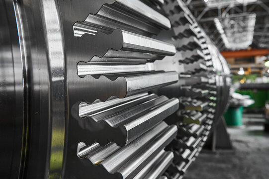 Fir-Tree 이미지 – 찾아보기 93,446 스톡 사진, 벡터 및 비디오 | Adobe Stock