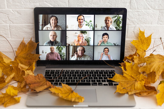 Chat Leaf Bilder – Durchsuchen 8,323 Archivfotos, Vektorgrafiken und ...