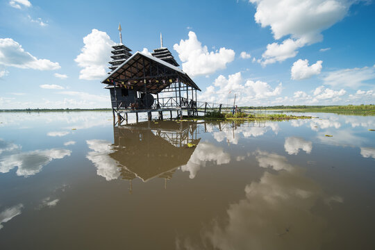 รูปภาพSut – เลือกดูภาพถ่ายสต็อก เวกเตอร์ และวิดีโอ1,389 | Adobe Stock