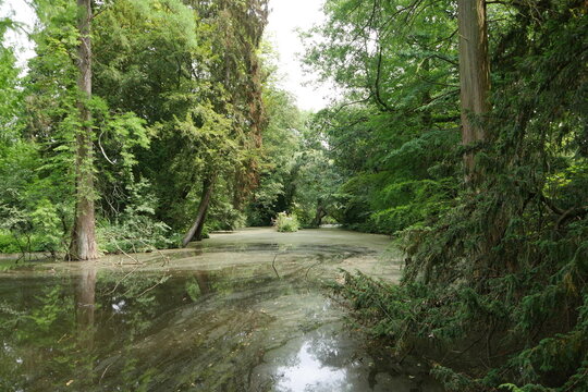 รูปภาพSumpflandschaft – เลือกดูภาพถ่ายสต็อก เวกเตอร์ และวิดีโอ743 ...