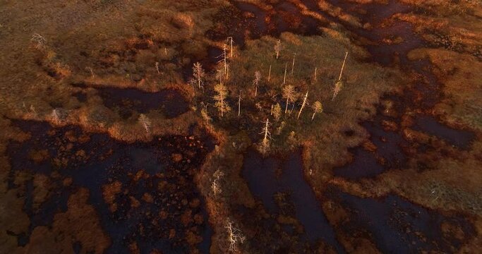 Mire Video Imagens – Procure 25,260 fotos, vetores e vídeos | Adobe Stock