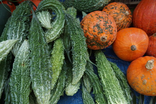 Margose Images – Browse 58 Stock Photos, Vectors, and Video | Adobe Stock