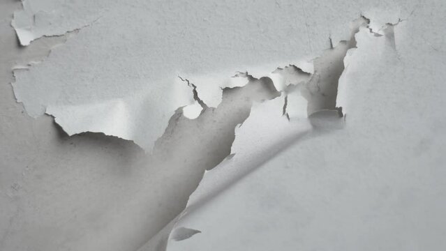 Water Damage Texture Images – Browse 38,048 Stock Photos, Vectors, and ...