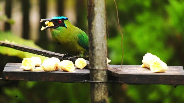 Imágenes de Barranquero: descubre bancos de fotos, ilustraciones ...