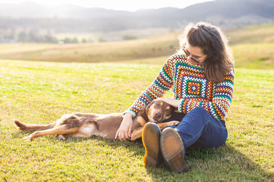 Companions Images – Browse 423,411 Stock Photos, Vectors, and Video ...