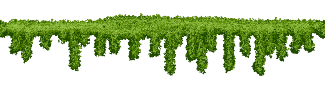 Hanging Moss Png