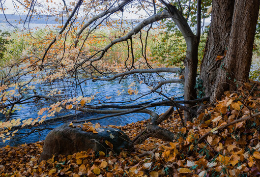 Tollense Images – Browse 53 Stock Photos, Vectors, and Video | Adobe Stock