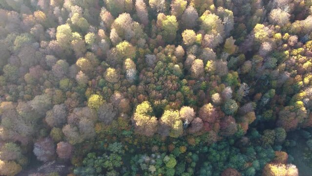 Exuberant Images – Browse 143,026 Stock Photos, Vectors, and Video ...