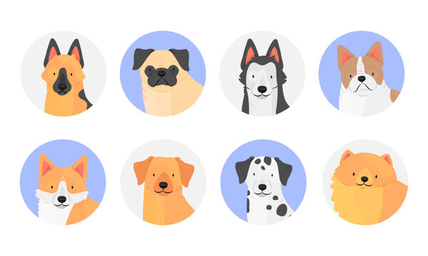 Dog Avatars Bilder – Durchsuchen 12,885 Archivfotos, Vektorgrafiken und ...