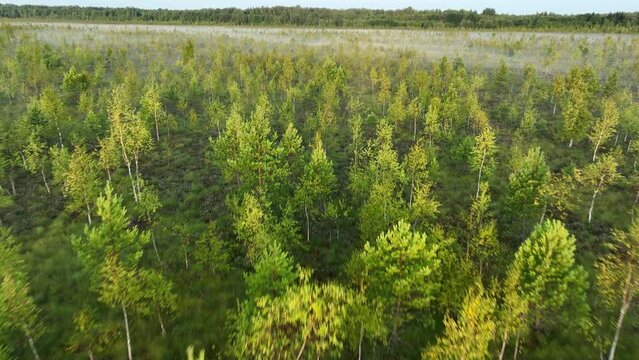 Mire Video Imagens – Procure 25,260 fotos, vetores e vídeos | Adobe Stock