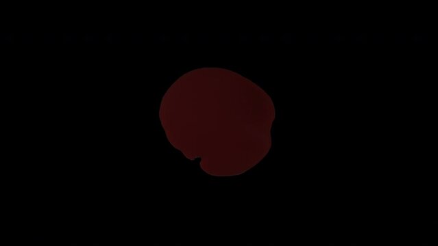 Blood Pool Images – Browse 9,104 Stock Photos, Vectors, and Video ...