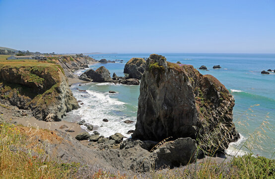 Gleason Images – Browse 62 Stock Photos, Vectors, and Video | Adobe Stock