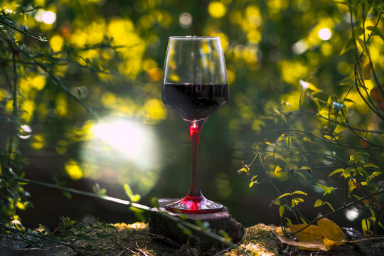 "Verre De Vin" Bilder – Durchsuchen 2,249 Archivfotos, Vektorgrafiken ...