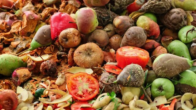 Rotting Food Images – Browse 66,872 Stock Photos, Vectors, and Video ...