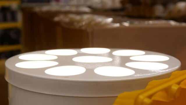 Ovoscope Images – Parcourir 19 le catalogue de photos, vecteurs et ...