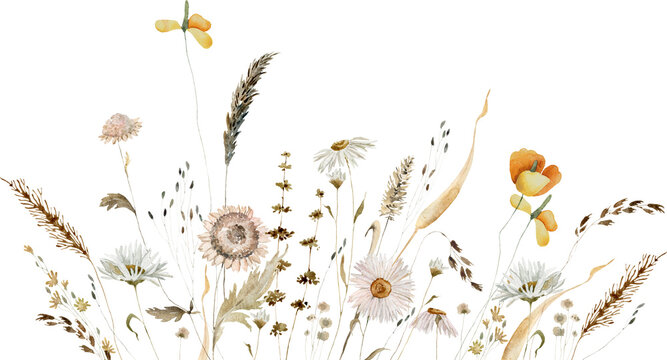 "Dried Flowers" Images – Browse 35,330 Stock Photos, Vectors, and Video ...