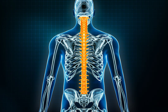 Carnality Images – Browse 20,430,728 Stock Photos, Vectors, and Video ...