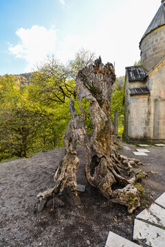 Haghartsin Bilder – Durchsuchen 848 Archivfotos, Vektorgrafiken und Videos | Adobe Stock