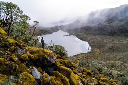 Imágenes de Atillo: descubre bancos de fotos, ilustraciones, vectores y ...
