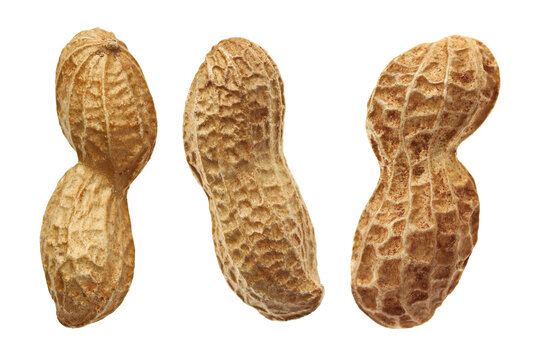 รูปภาพPeanuts – เลือกดูภาพถ่ายสต็อก เวกเตอร์ และวิดีโอ434,098 | Adobe Stock