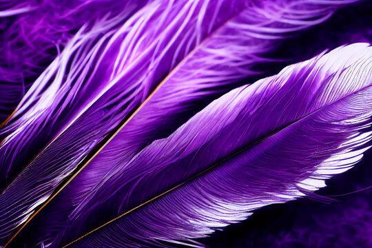 Puple Images – Parcourir 2,083 le catalogue de photos, vecteurs et ...