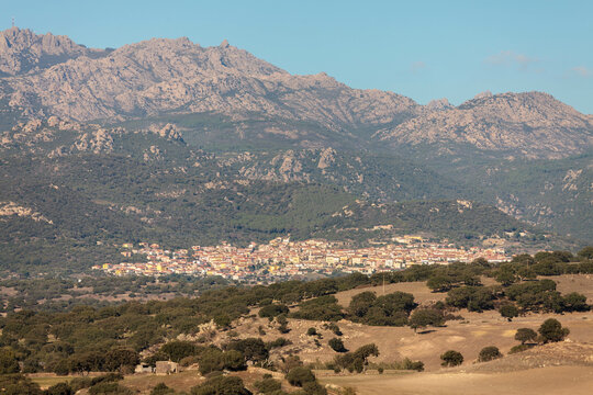 「Berchidda」の写真素材 | 41件の無料イラスト画像 | Adobe Stock