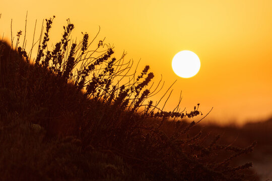 Suggestive Images – Parcourir 16,471 le catalogue de photos, vecteurs ...