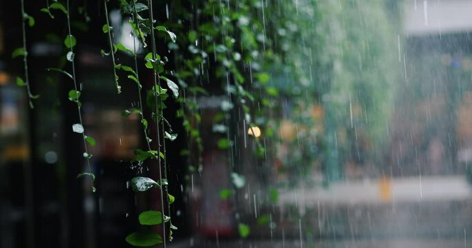 "Drizzling Rain" Images – Browse 146 Stock Photos, Vectors, and Video ...