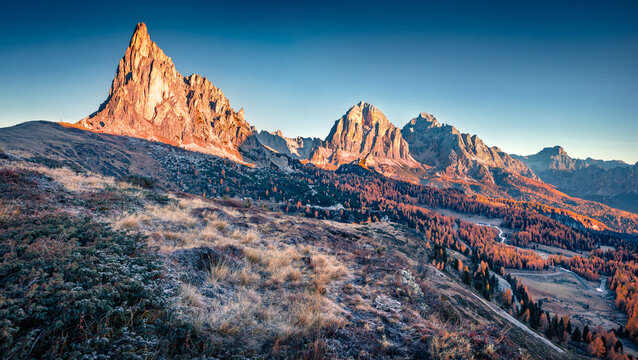 Andrew Mayovskyy 사진, 이미지, 에셋 | Adobe Stock