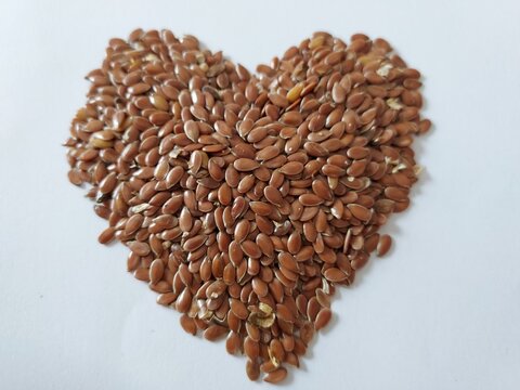 Lin 이미지 – 찾아보기 36,498 스톡 사진, 벡터 및 비디오 | Adobe Stock