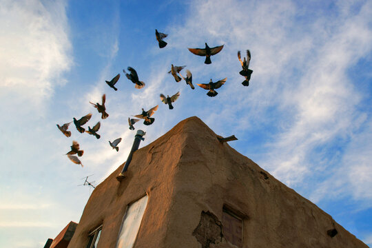 Barak Images – Browse 433 Stock Photos, Vectors, and Video | Adobe Stock