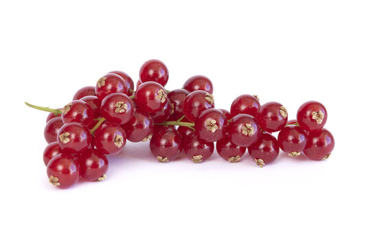 Groseilles Images – Browse 1,377 Stock Photos, Vectors, and Video ...