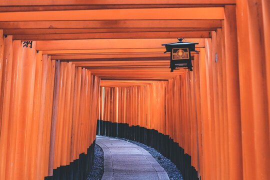 Fushimi Images – Browse 7,717 Stock Photos, Vectors, and Video | Adobe ...