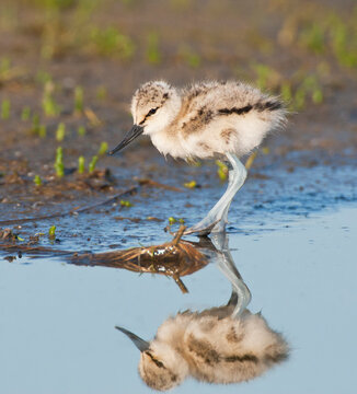 รูปภาพKluut – เลือกดูภาพถ่ายสต็อก เวกเตอร์ และวิดีโอ534 | Adobe Stock