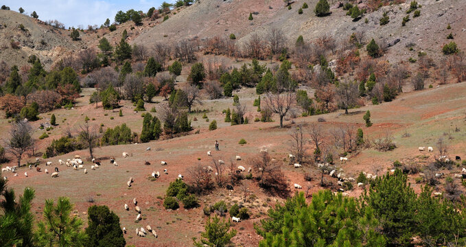 Teqe Bilder – Durchsuchen 1,903 Archivfotos, Vektorgrafiken und Videos ...