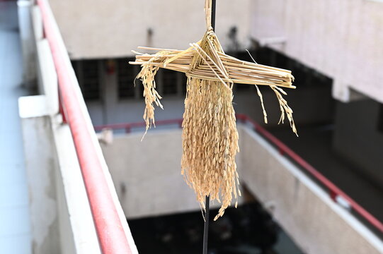 Dhan Images – Browse 321 Stock Photos, Vectors, and Video | Adobe Stock