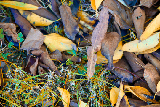 Fonder 이미지 – 찾아보기 4,083 스톡 사진, 벡터 및 비디오 | Adobe Stock
