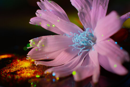 Ultraviolett Images – Browse 258 Stock Photos, Vectors, and Video | Adobe Stock