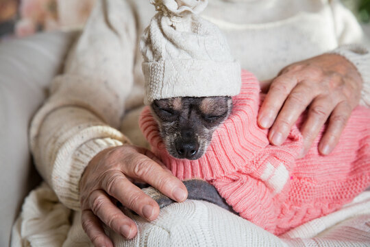 Snuggle Images – Browse 348,199 Stock Photos, Vectors, and Video ...