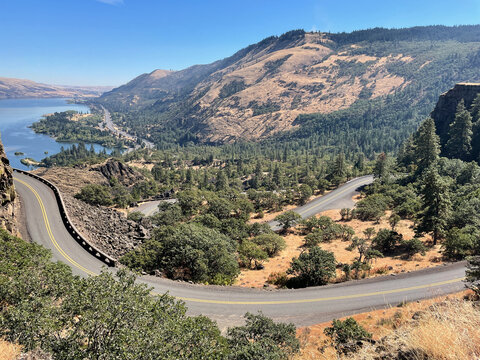 รูปภาพ"Rowena Crest" – เลือกดูภาพถ่ายสต็อก เวกเตอร์ และวิดีโอ369 ...