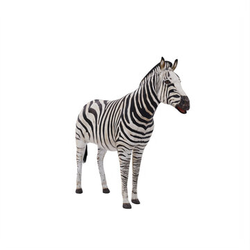"Zebra Cross" Images – Browse 273 Stock Photos, Vectors, and Video ...