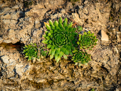 Decode Bilder – Durchsuchen 14,977 Archivfotos, Vektorgrafiken und ...